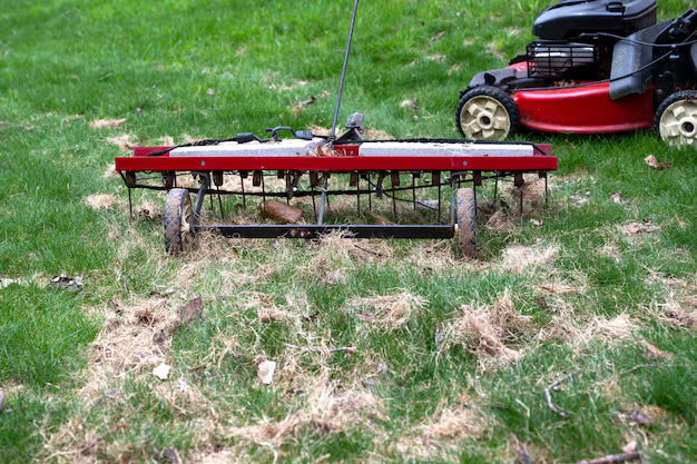 Winter Cleanup Made Easy With the Right Rake Attachment – LinkEZE